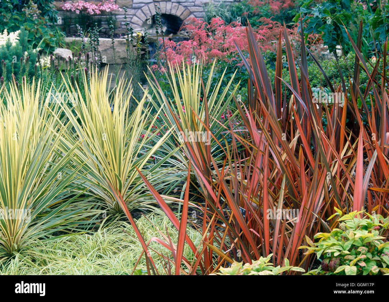 Plant Association Cordyline Australis Albertii Agm With Phormium